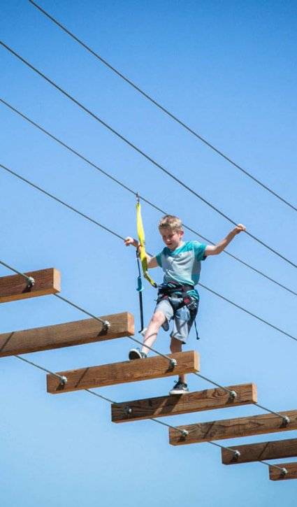 Soar High Above The Landscape Ziplining in Idaho