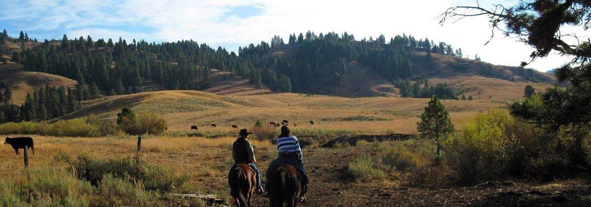 Experience A Unique Adventure At An Idaho Guest Ranch