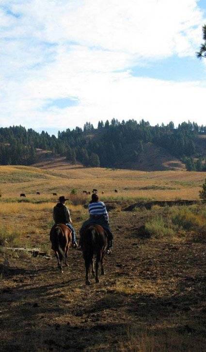 Experience A Unique Adventure At An Idaho Guest Ranch