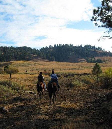 Experience A Unique Adventure At An Idaho Guest Ranch