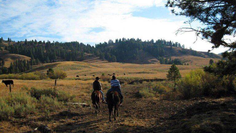 Experience A Unique Adventure At An Idaho Guest Ranch