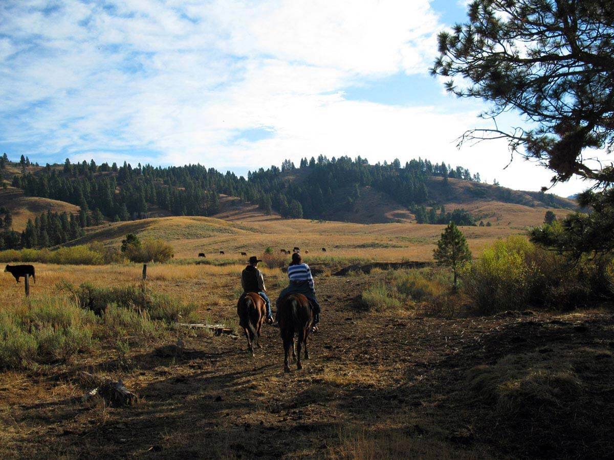 Lazy R Ranch | Visit Idaho