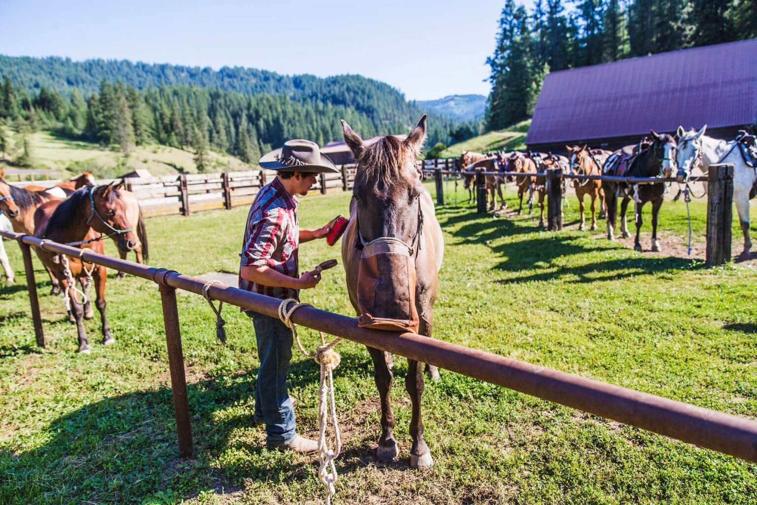Experience A Unique Adventure At An Idaho Guest Ranch