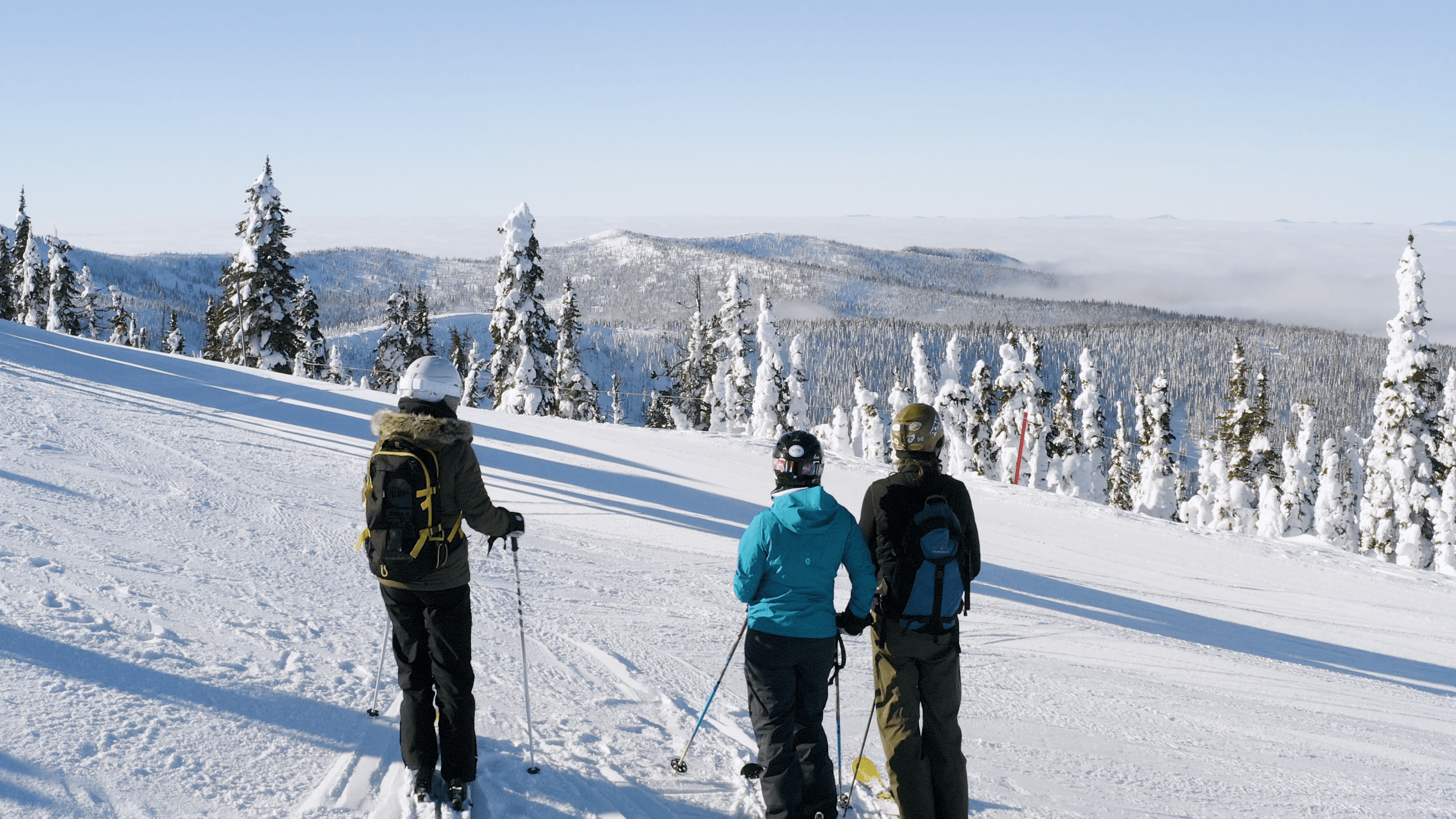 Schweitzer | Alpine Skiing & Snowboarding in Northern Idaho