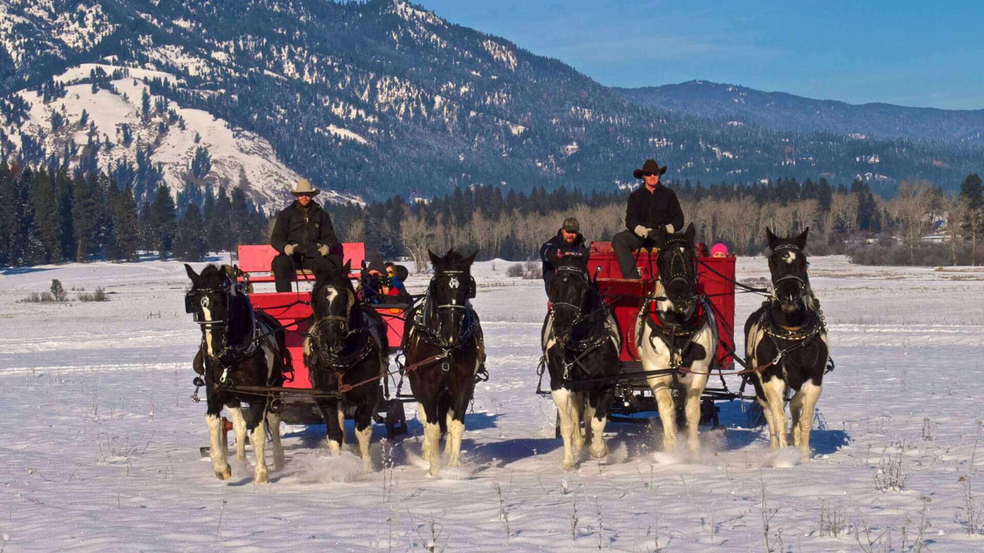 Sleigh Rides in Idaho | Visit Idaho