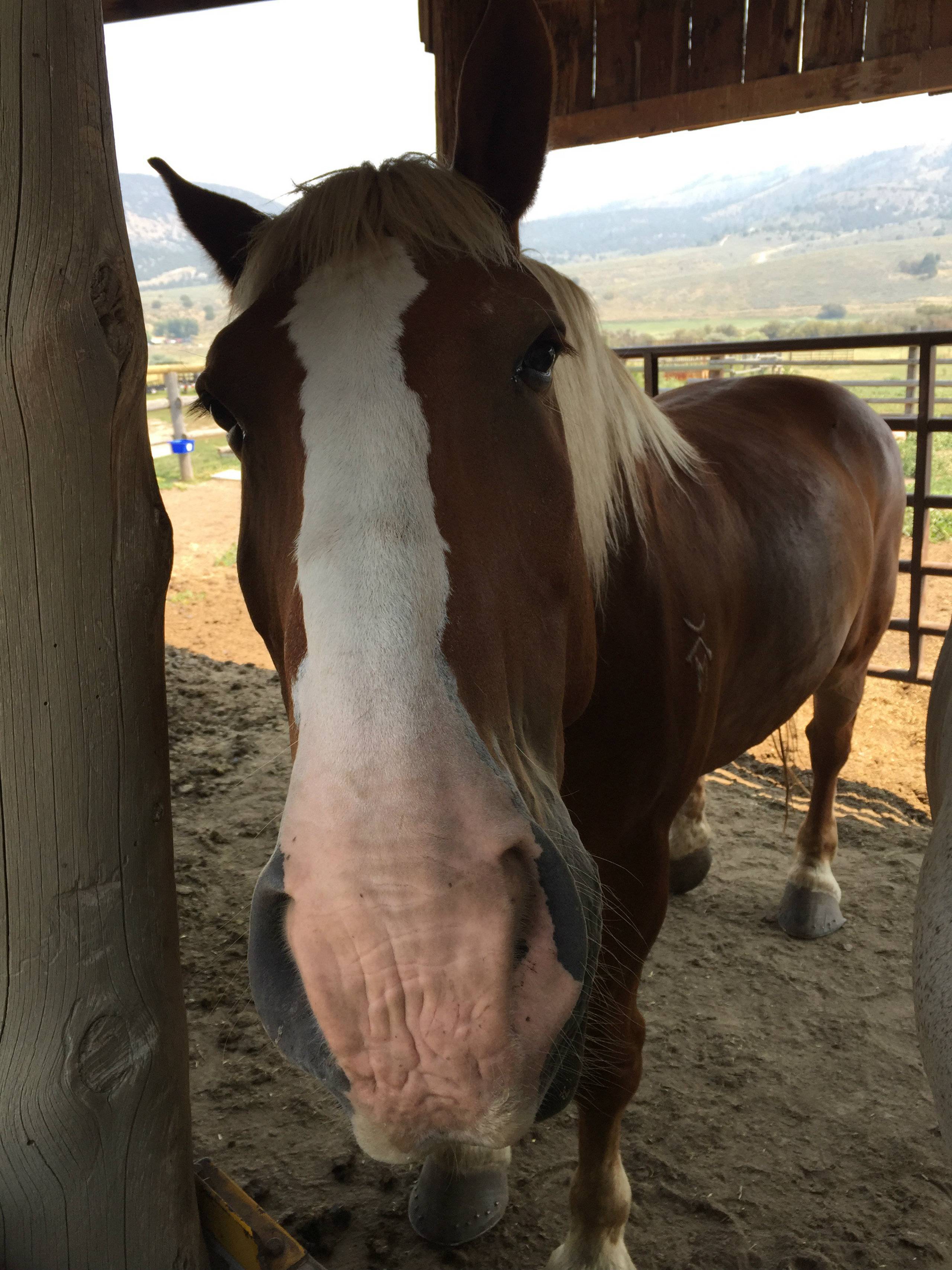 Soaking up Adventure in Lava Hot Springs - Visit Idaho