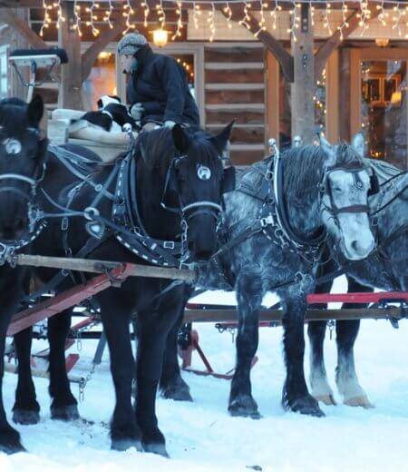 Cozy up on an Idaho Sleigh Ride