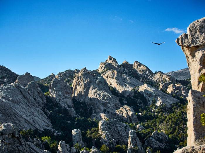 The 6 Wildest Idaho Vacations for the Adventurous Family | Visit Idaho