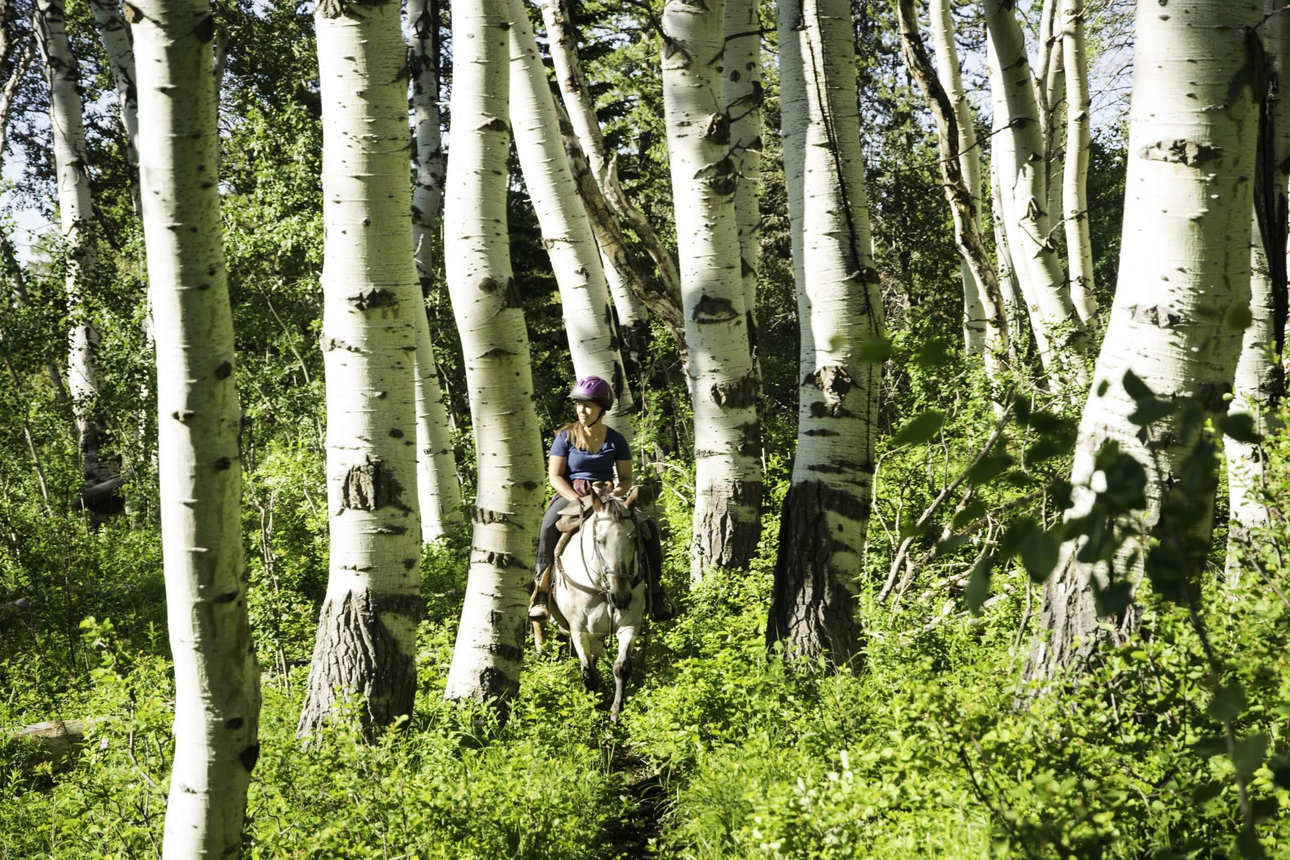 8 Ways to Explore the Teton Valley | Visit Idaho