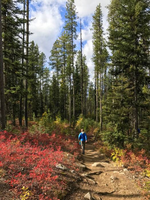 5 Fantastic Fall Hikes Near Boise | Visit Idaho