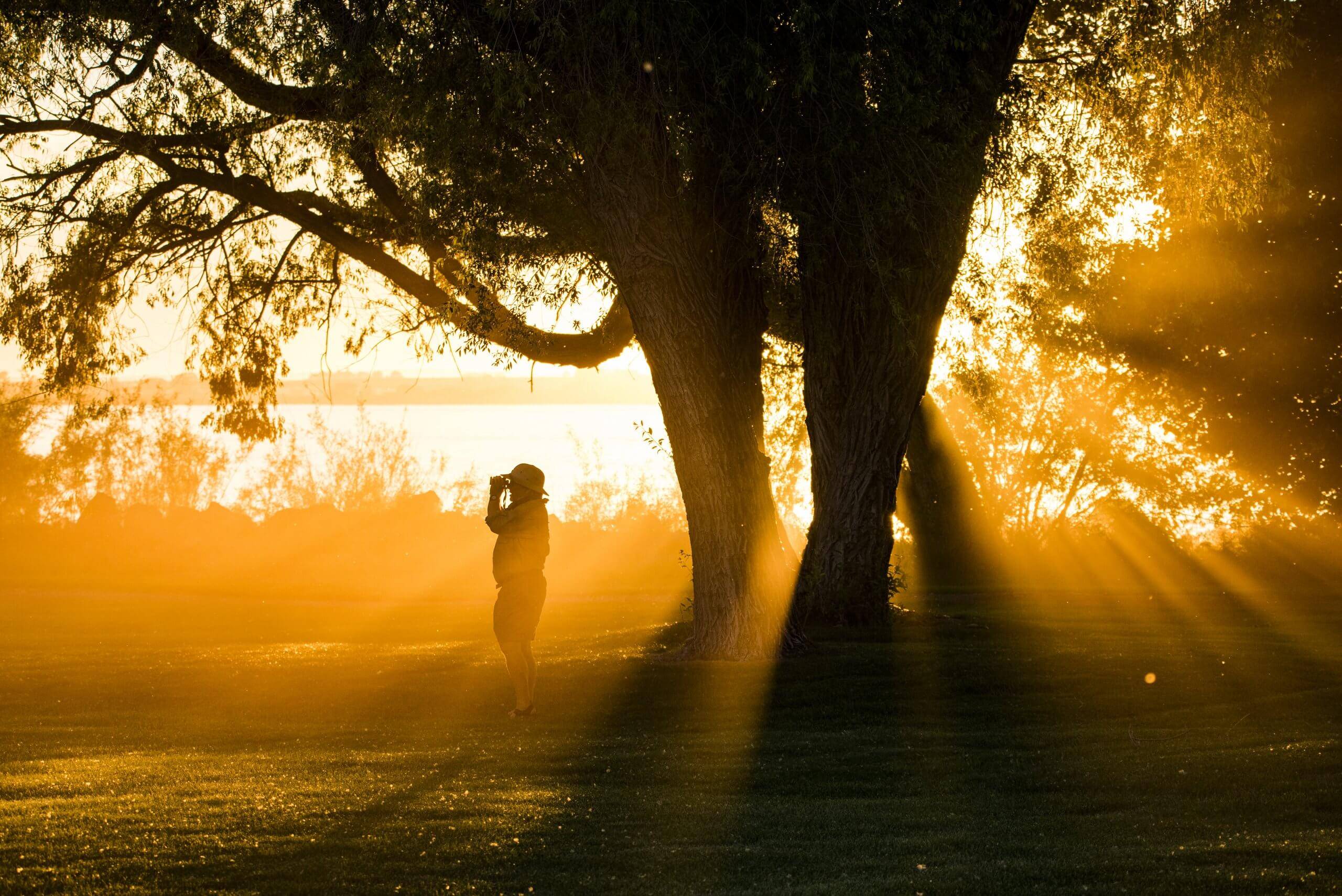 The Idaho Birding Trail: Why You Should Check It Out