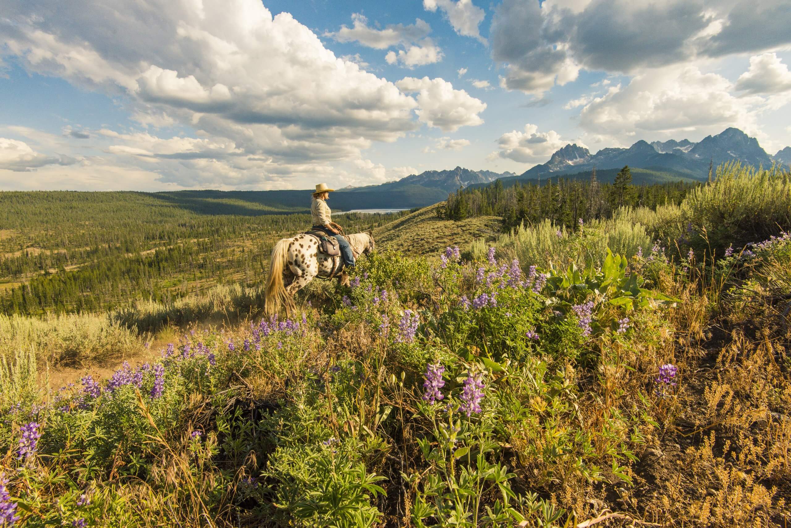 Giddy Up! Explore Idaho’s Trails on Horseback