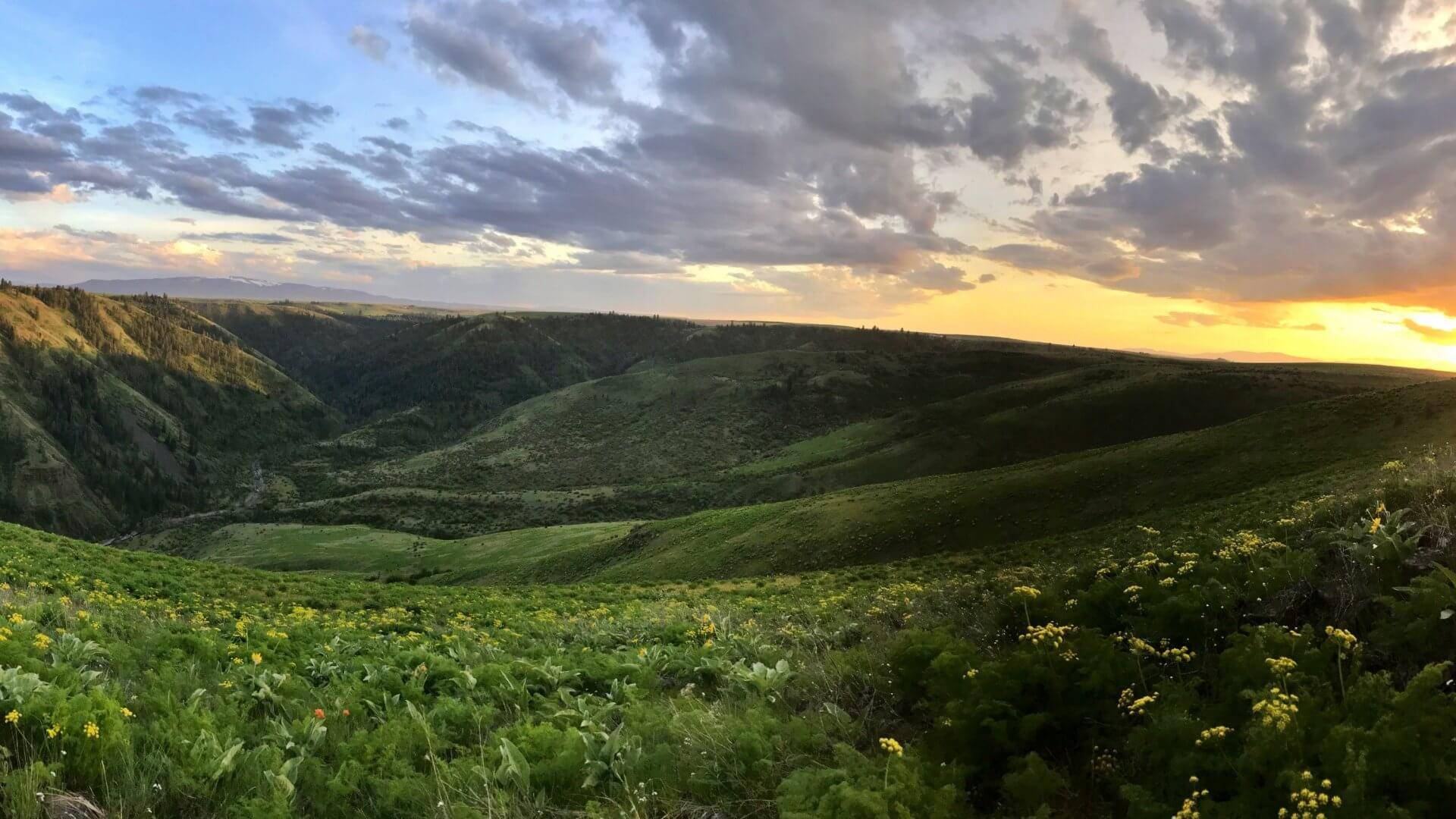 Experience A Unique Adventure At An Idaho Guest Ranch