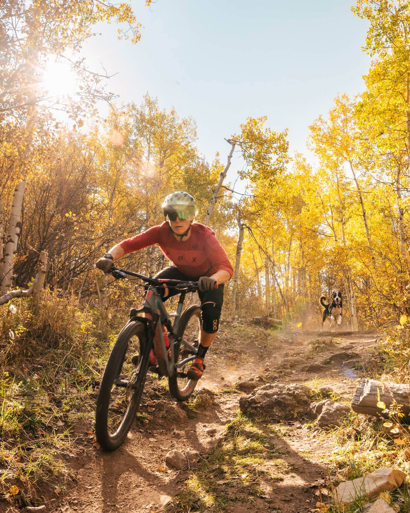 A Mountain Biker’s Guide to Fall in the Teton Valley | Visit Idaho