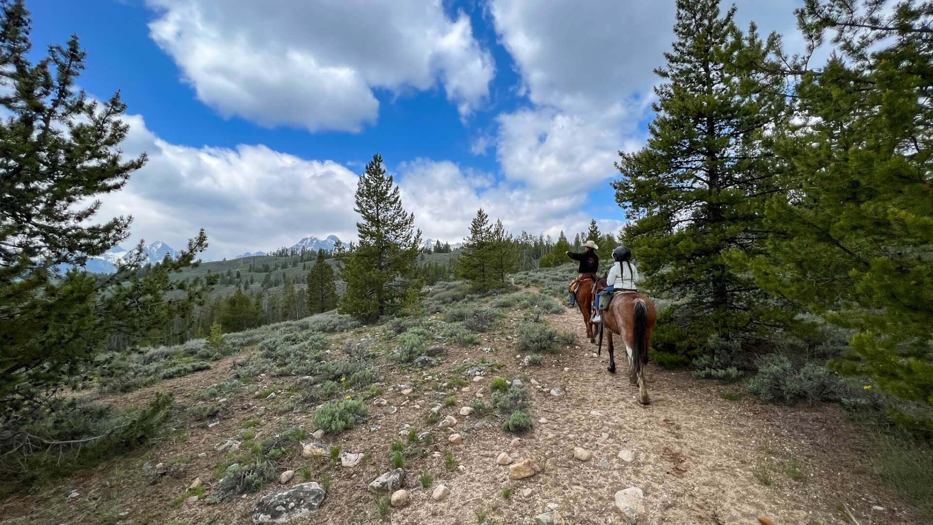 Fujishin Family Cellars - Visit Idaho