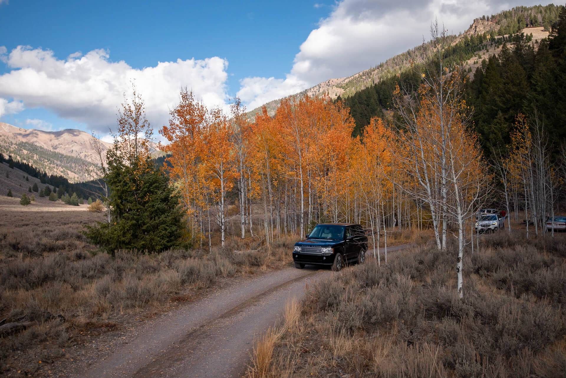 Hidden History: Finding Arborglyphs in Idaho | Things to do in Idaho