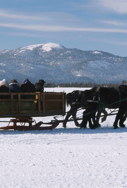 Cozy up on an Idaho Sleigh Ride