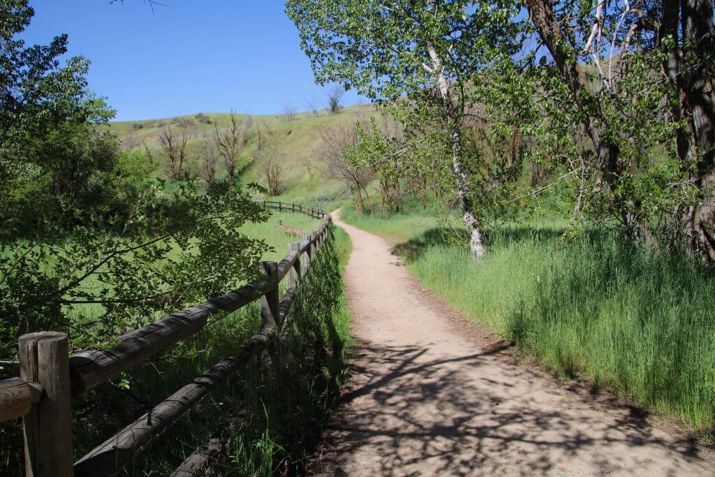 Try These Rugged Wheelchair-Accessible Trails in the Boise Foothills