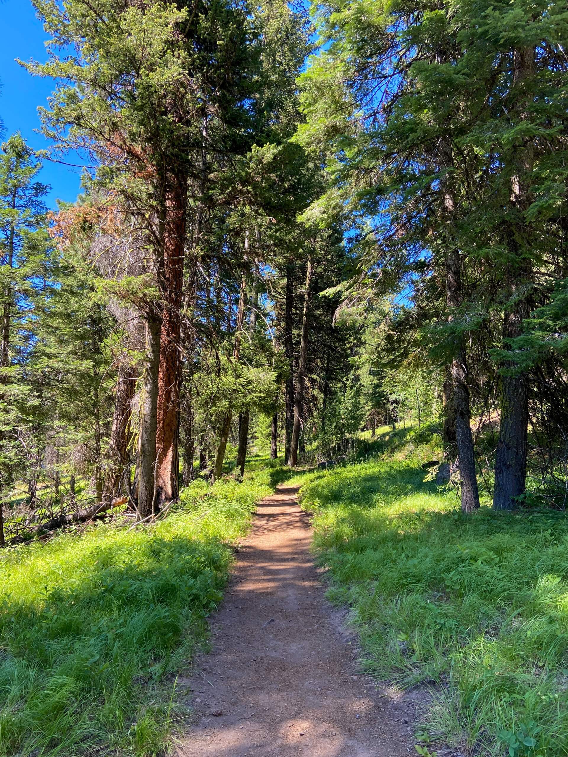 7 Can't Miss Hiking Trails in Southwest Idaho | Where to Hike in Idaho