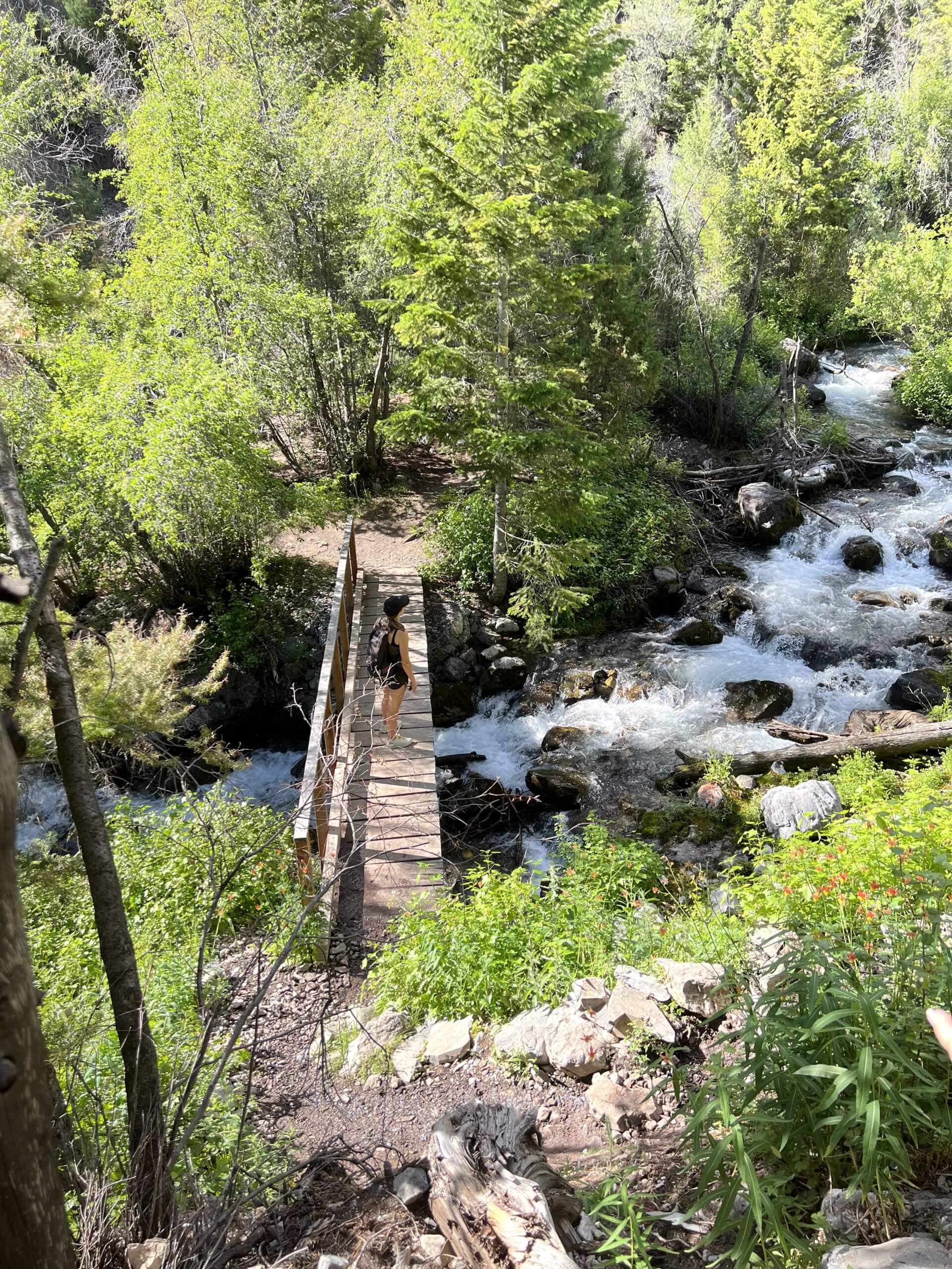 Try This Hidden Waterfall Hike near Mackay | Hikes in Idaho