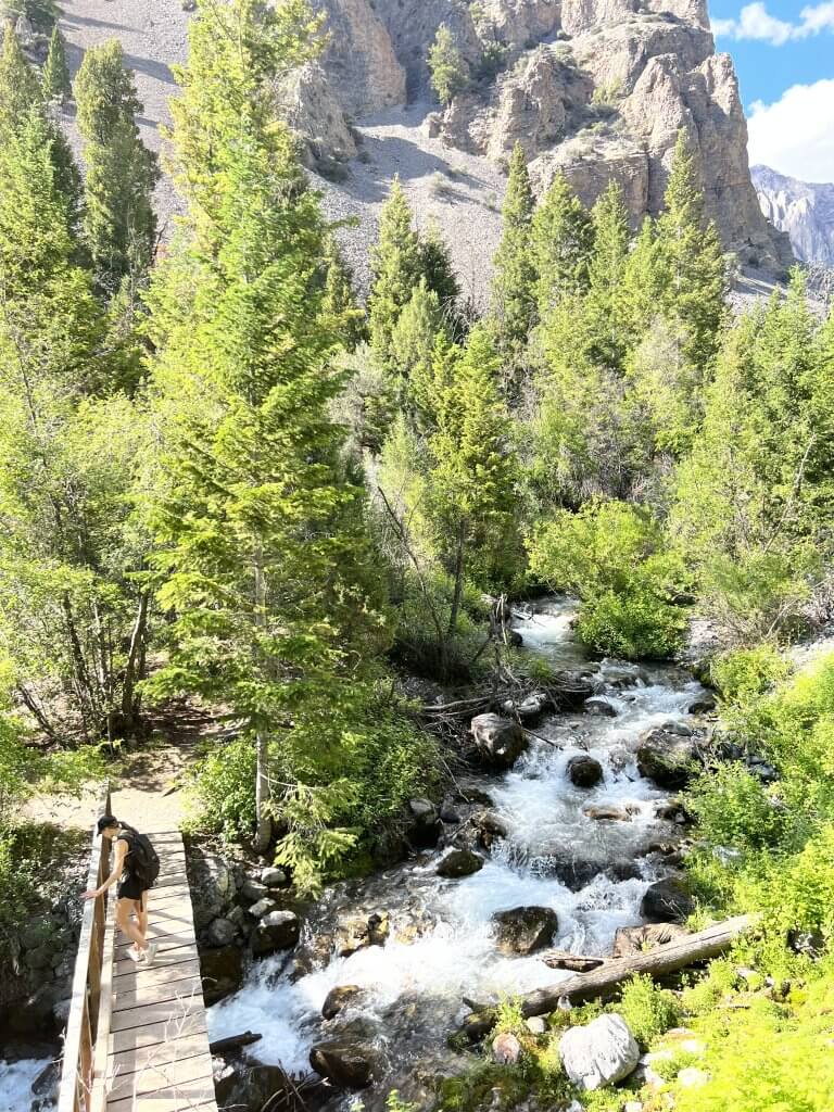 Try This Hidden Waterfall Hike near Mackay | Hikes in Idaho