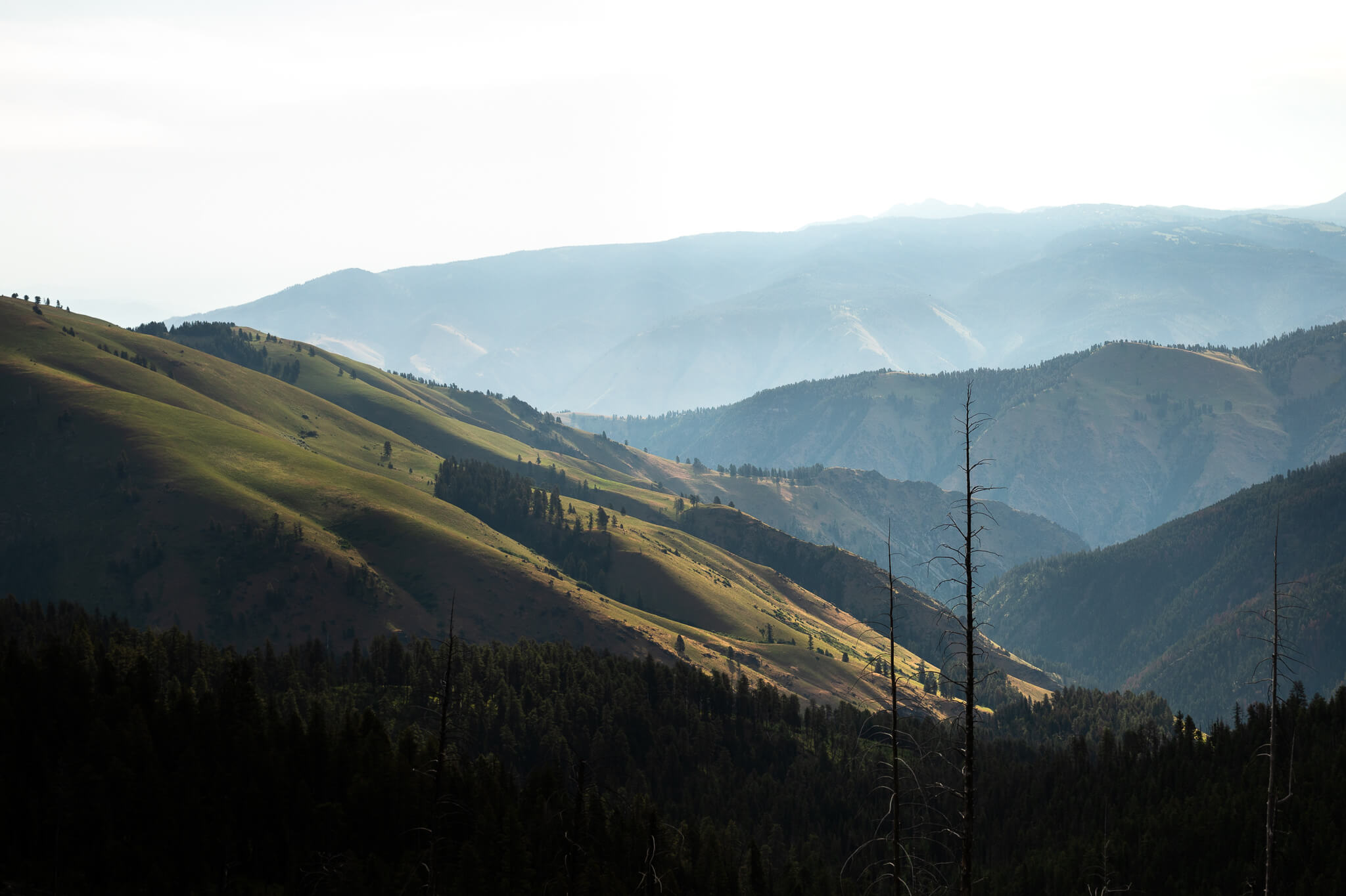 Backpacking the Seven Devils Loop Trail | Hiking & Backpacking in Idaho