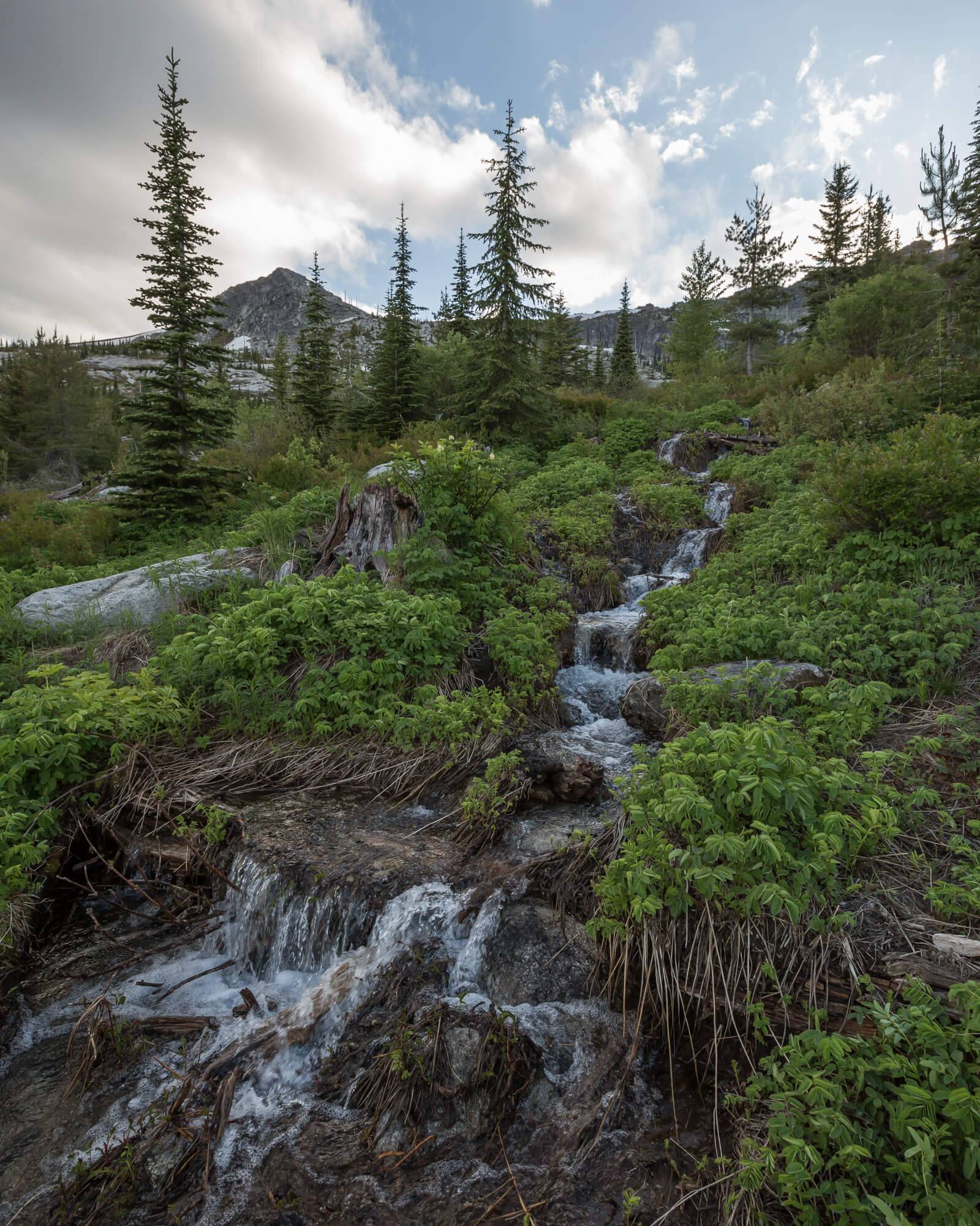Backpacking Through the Beauty of the Selkirk Range