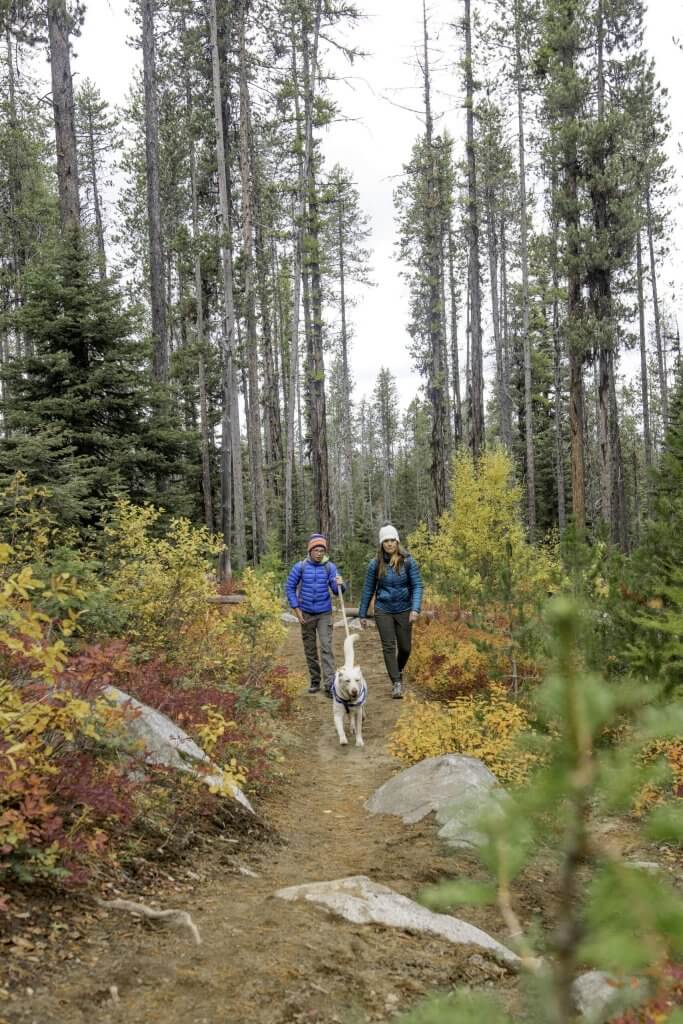 Discover the Best Fall Hikes Near Boise