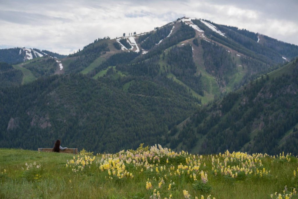 6 Must-See Spots for Spring Wildflower Fields | Visit Idaho