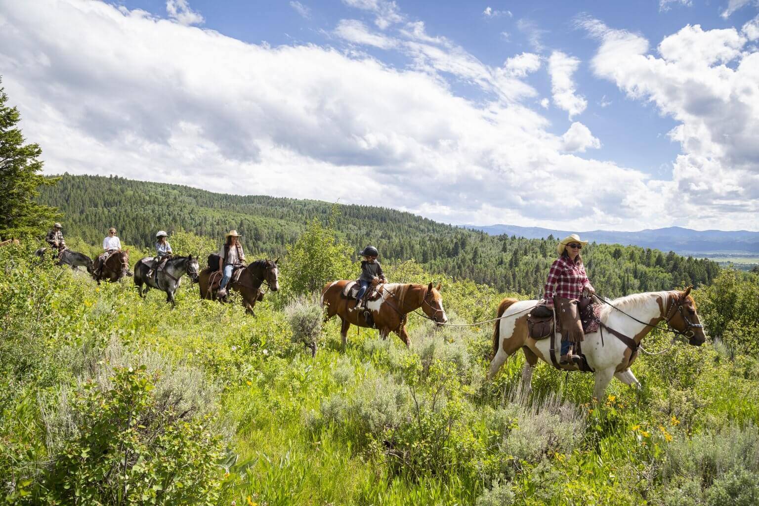 Teton Scenic Byway | Road Trips in Eastern Idaho