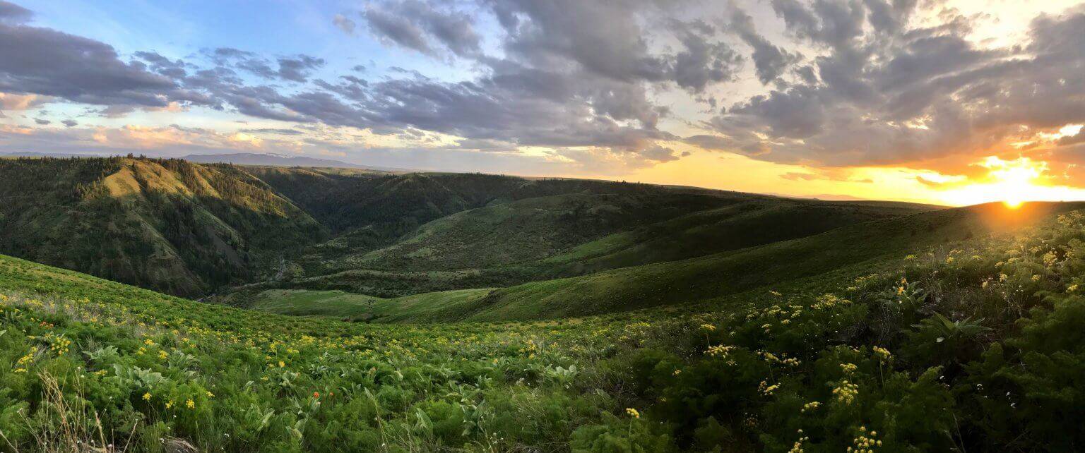 Experience A Unique Adventure At An Idaho Guest Ranch