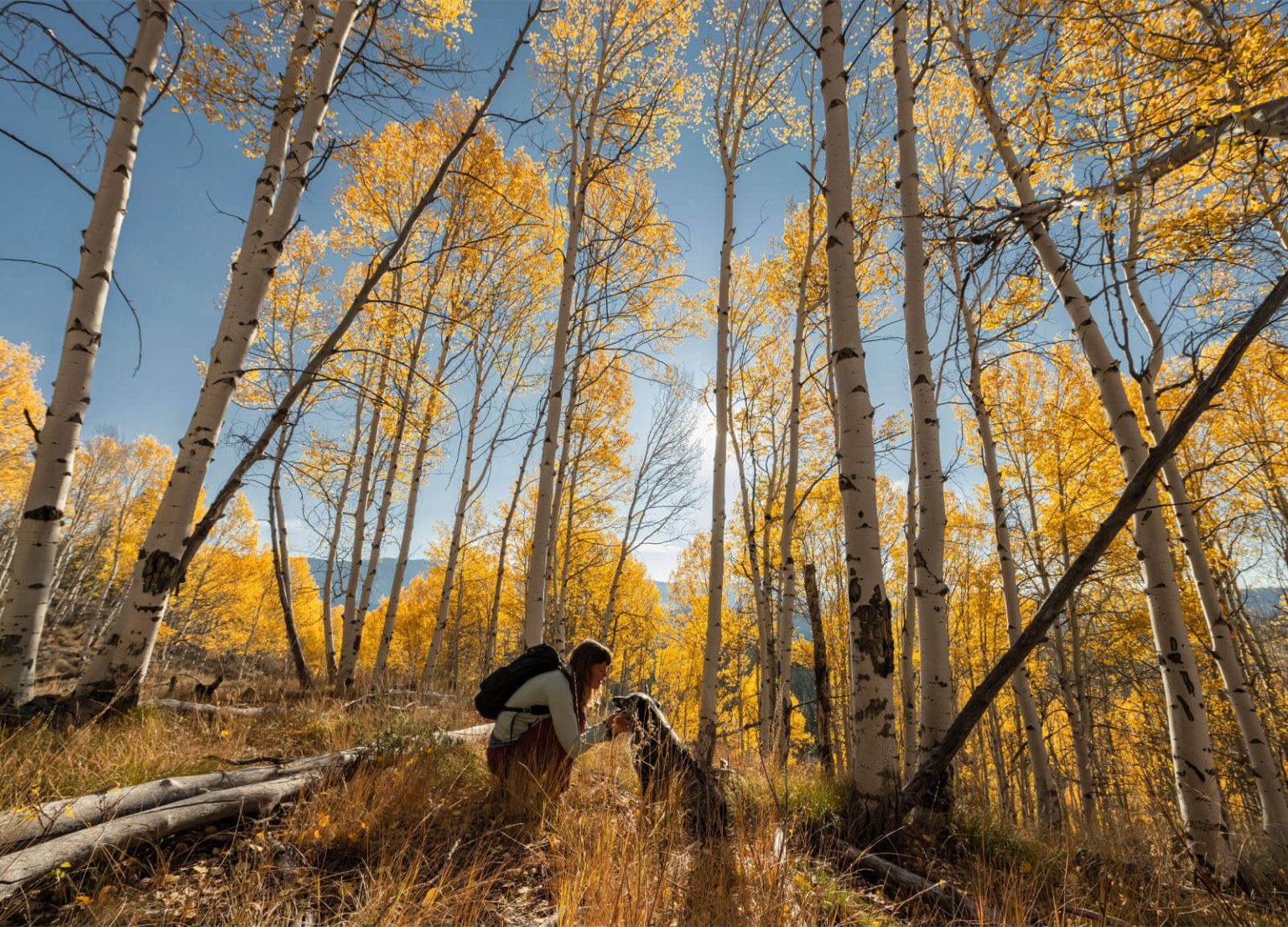 Road Map to Idaho Fall Colors and Foliage by Region