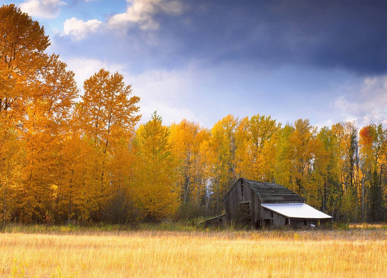 Road Map to Idaho Fall Colors and Foliage by Region