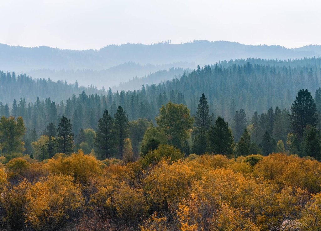 Road Map to Idaho Fall Colors and Foliage by Region