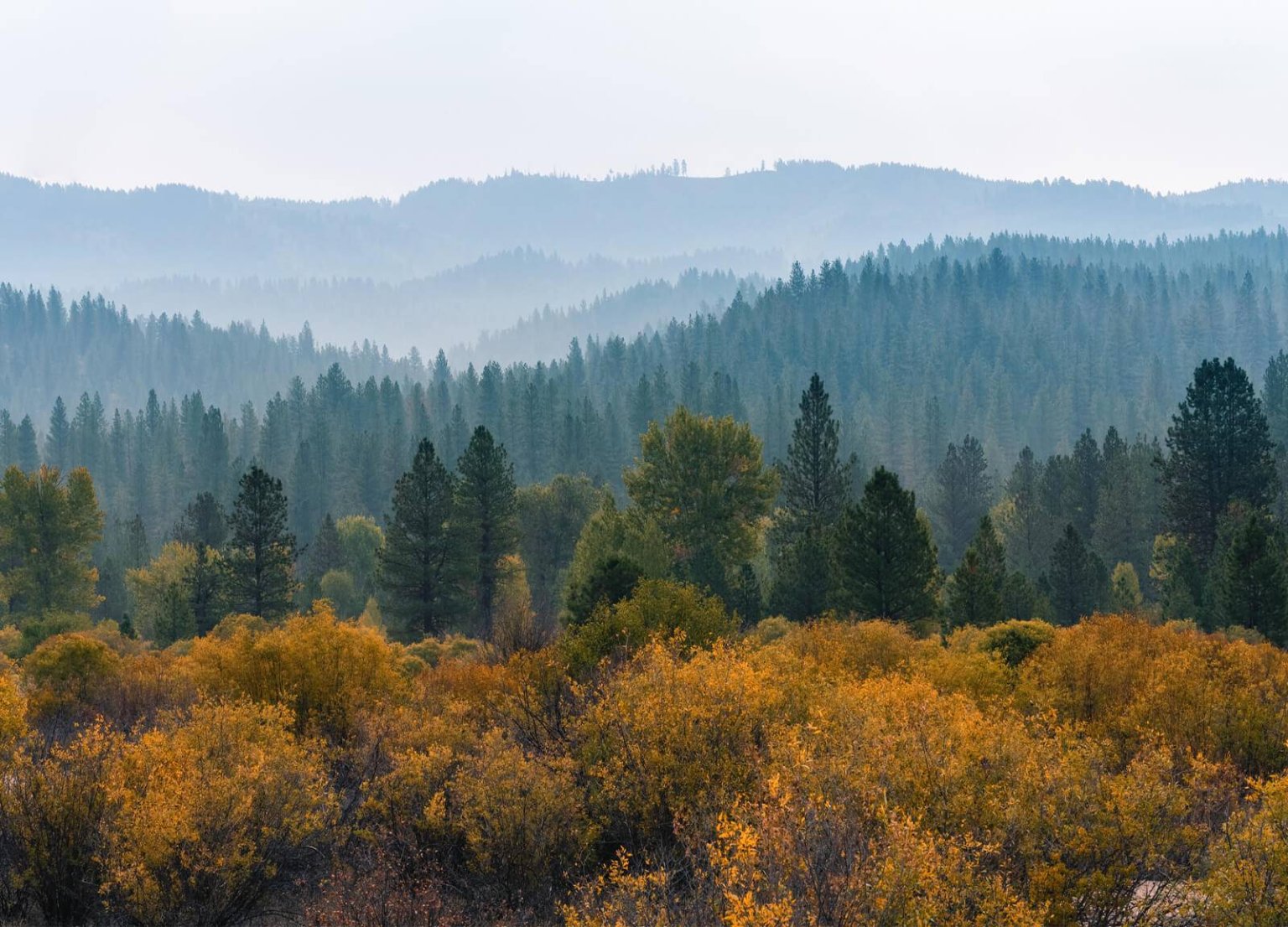 Road Map to Idaho Fall Colors and Foliage by Region