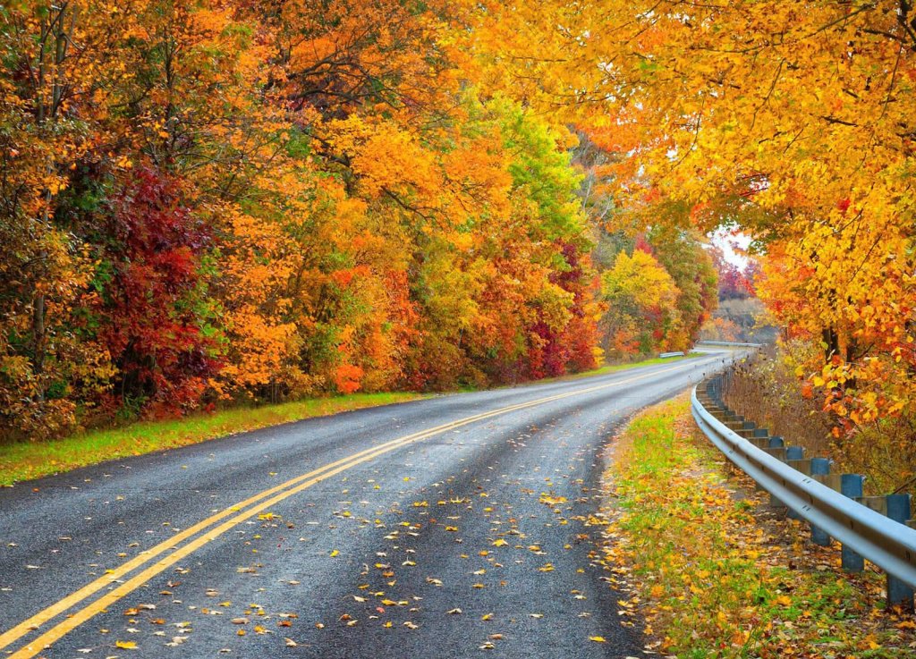 Road Map to Idaho Fall Colors and Foliage by Region