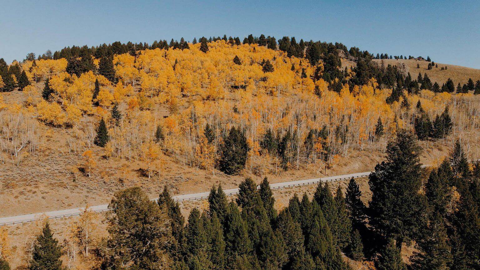 Sawtooth Scenic Byway | Scenic Drives in Idaho