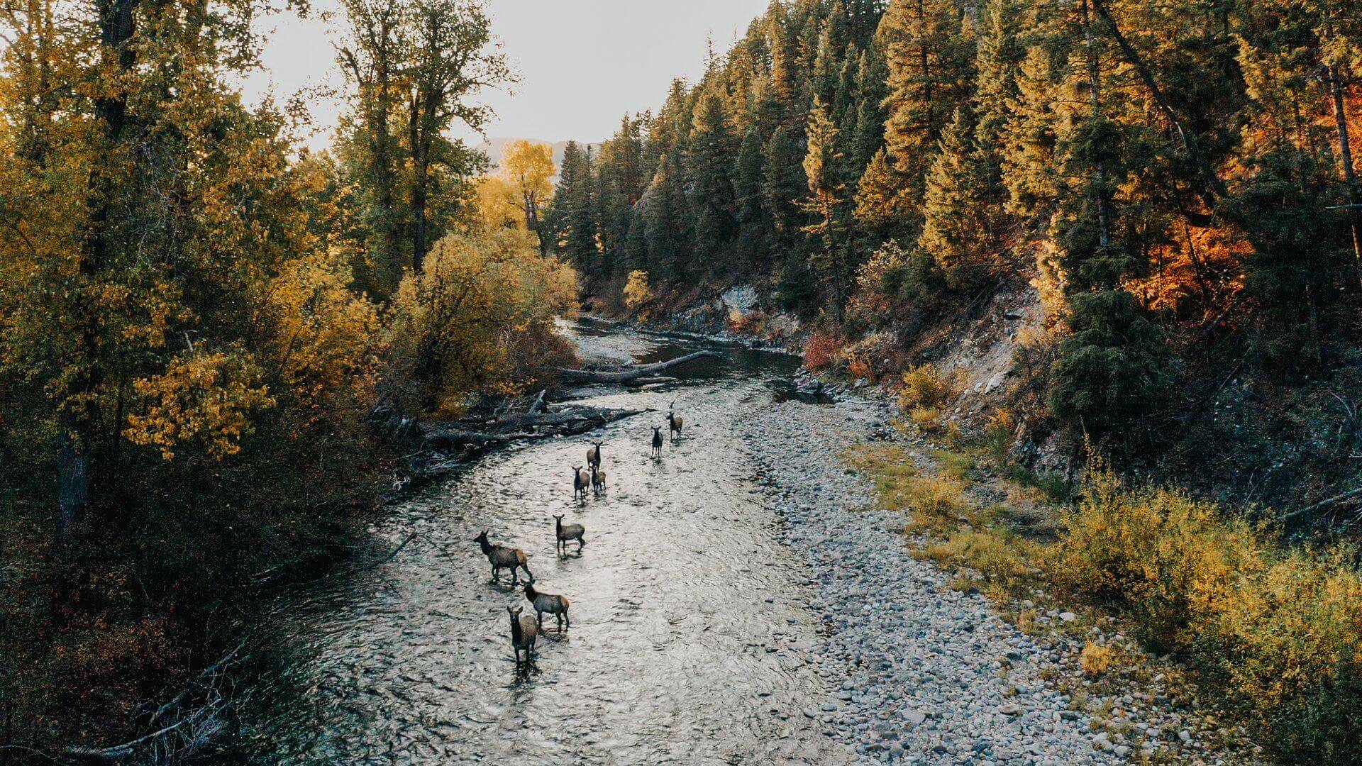 Discover Central Idaho | Sawtooth Mountains and Sun Valley