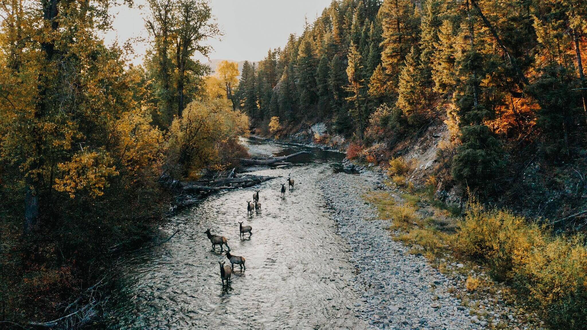 Sawtooth Scenic Byway | Scenic Drives in Idaho