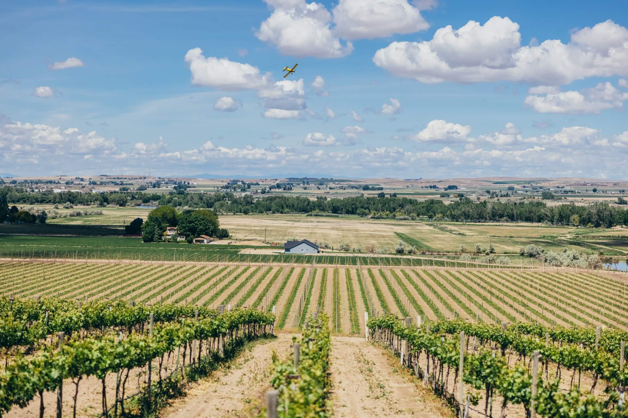 Snake River Canyon Scenic Byway | Road Trips in Southwest Idaho