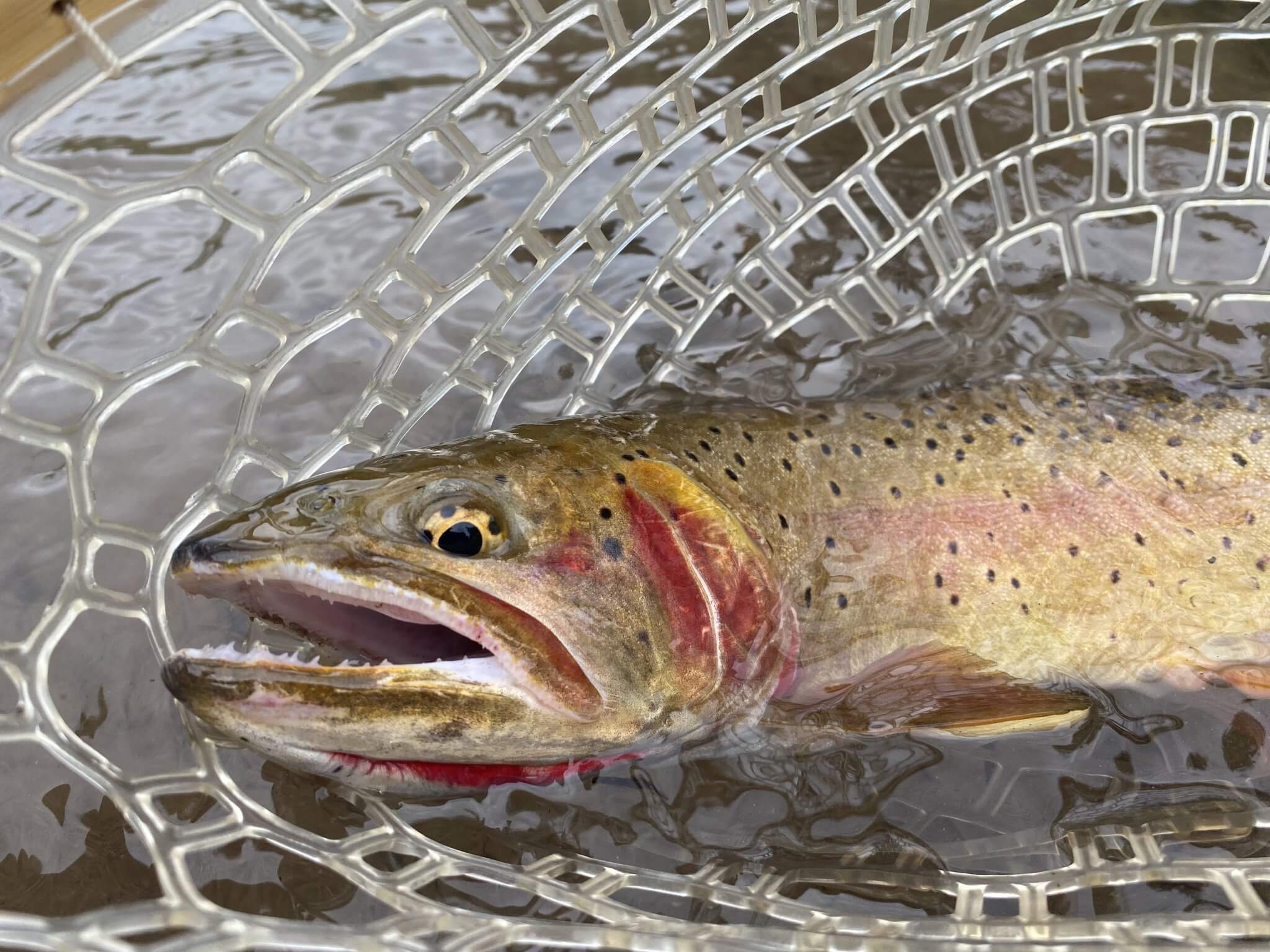 Hemingway, Mountain Biking & Dazzling Dark Skies | Visit Idaho