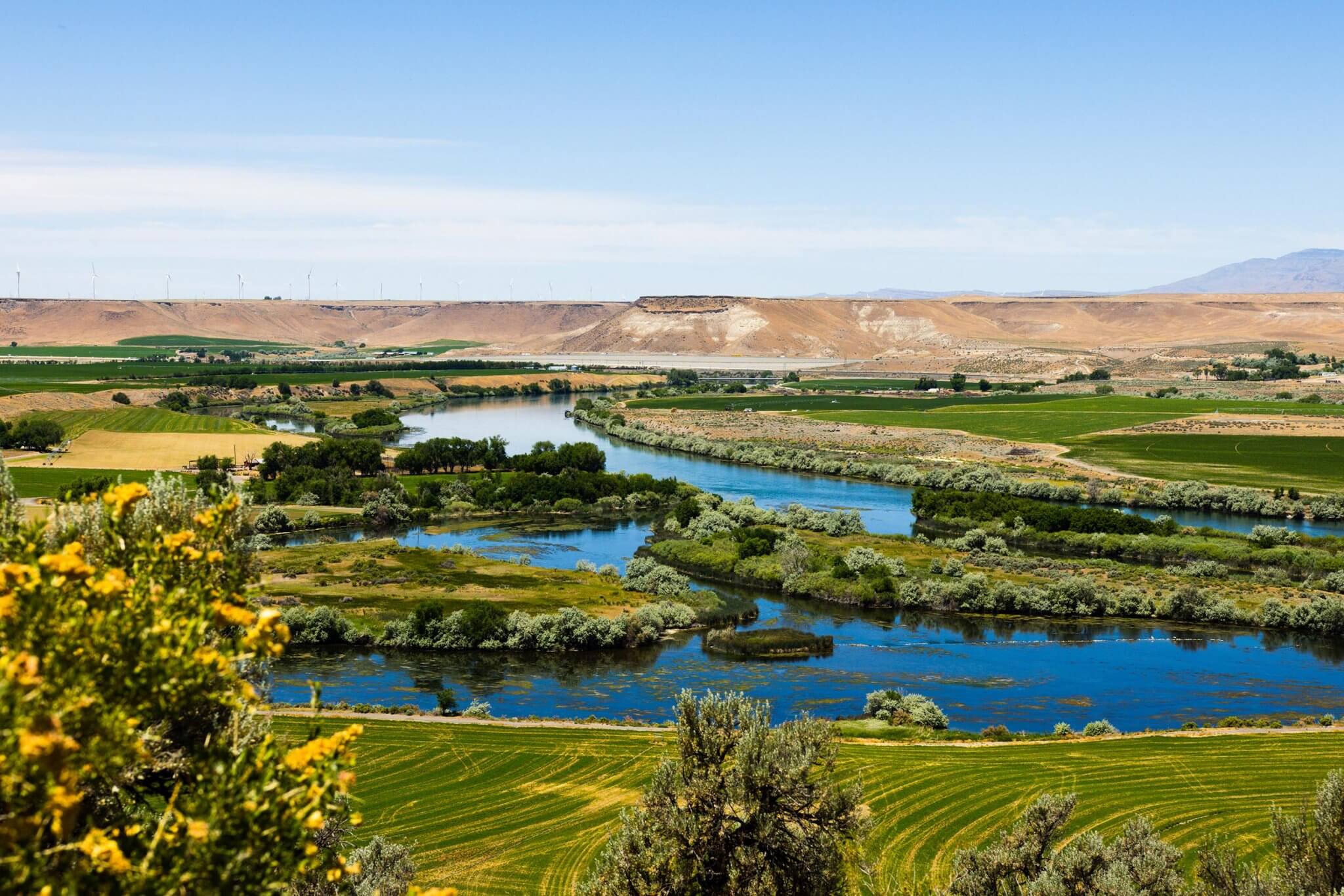 Experience Spring in Idaho: Things to Do in Idaho During Spring