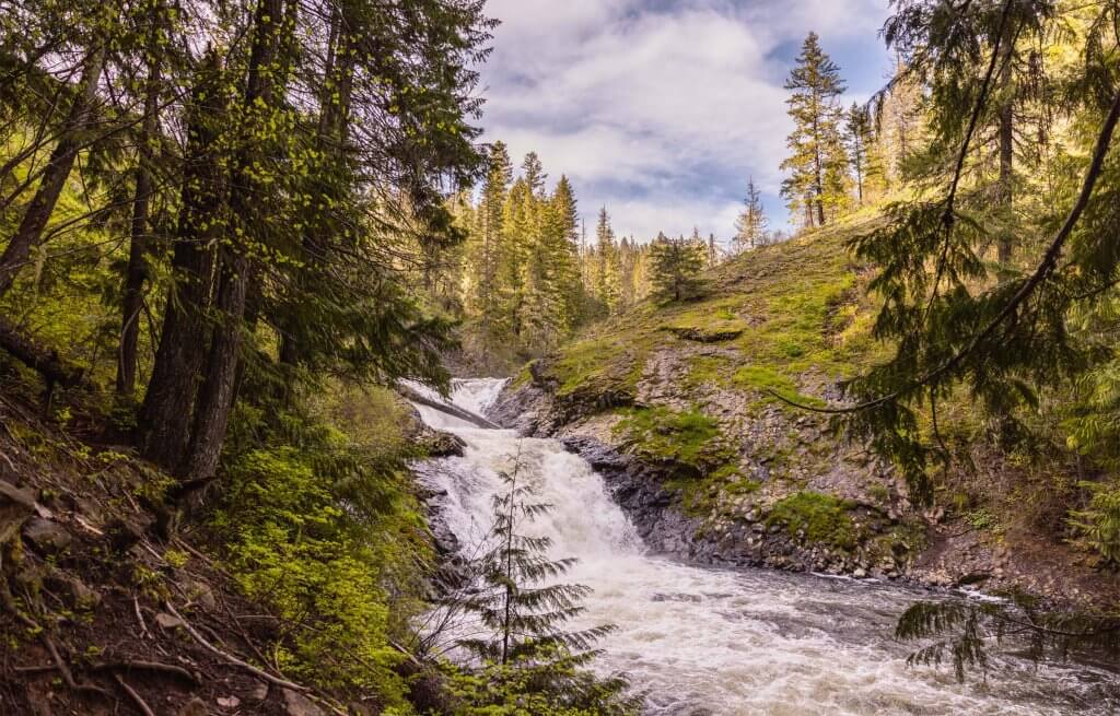 Elk River Backcountry Byway | Road Trips in North Central Idaho