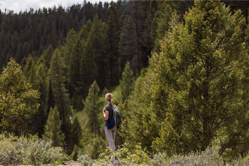 Mesa Falls Scenic Byway | Road Trips in Eastern Idaho