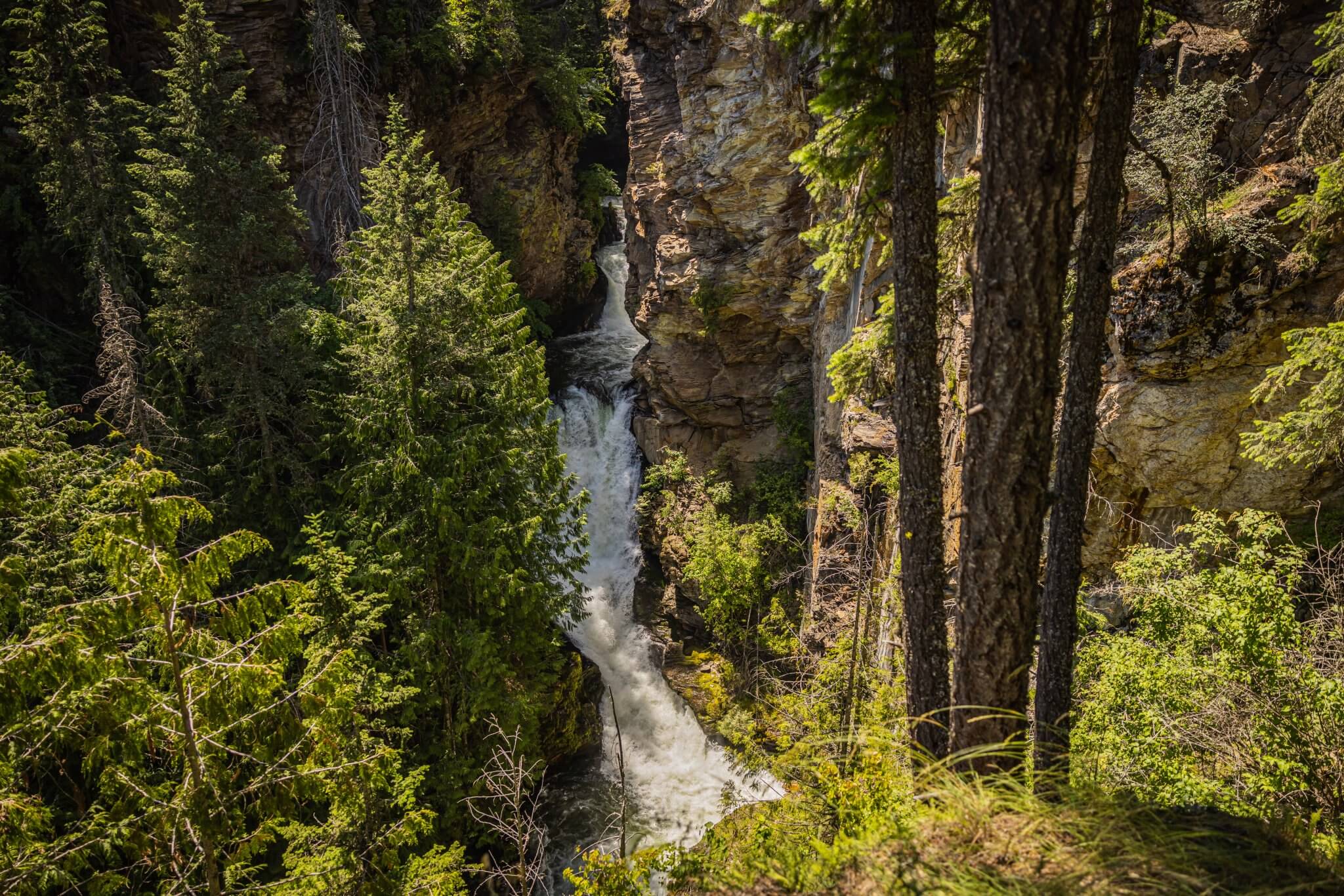 7 Unforgettable Idaho Attractions with Kids | Visit Idaho
