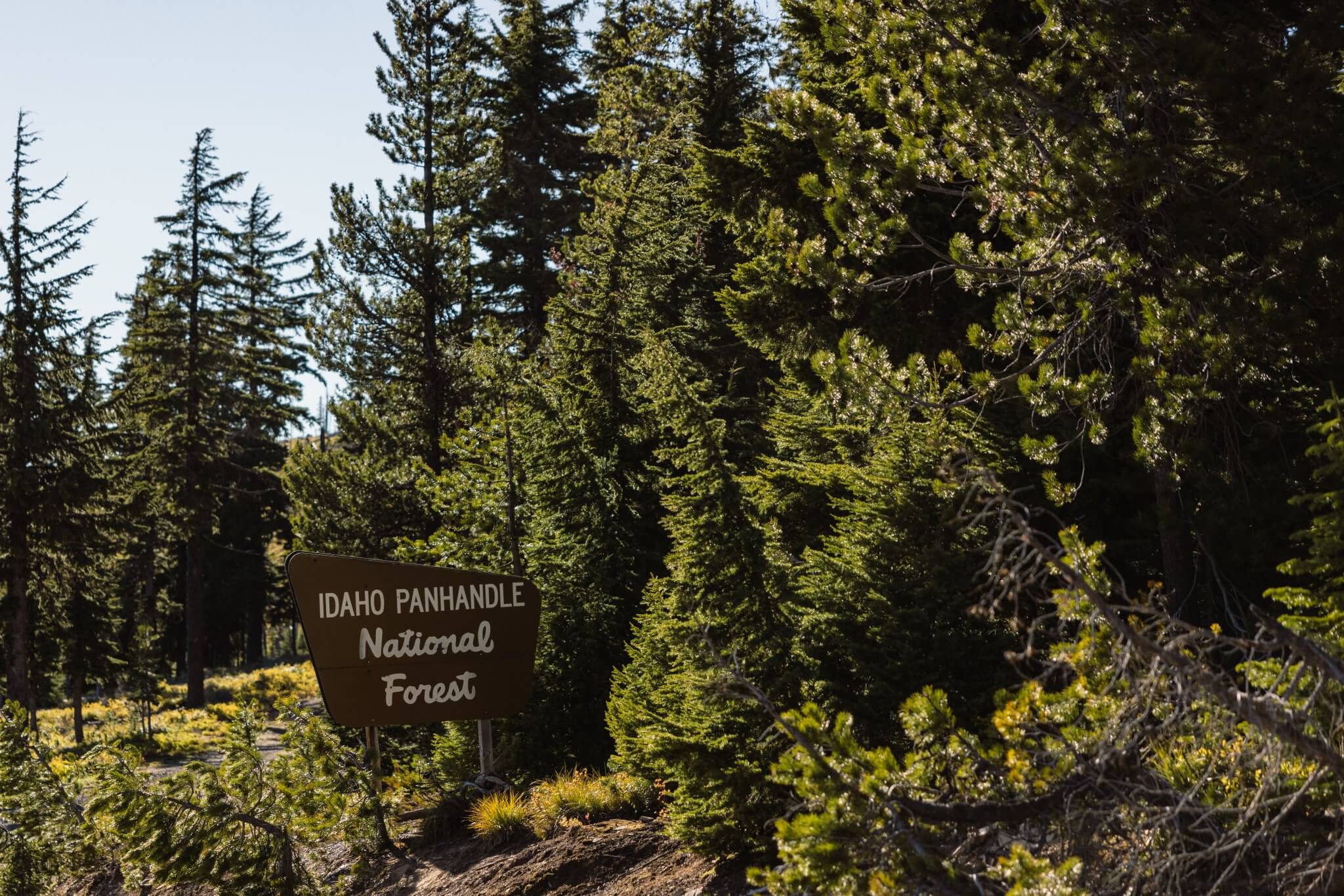 St. Joe River Scenic Byway | Road Trips in Northern Idaho