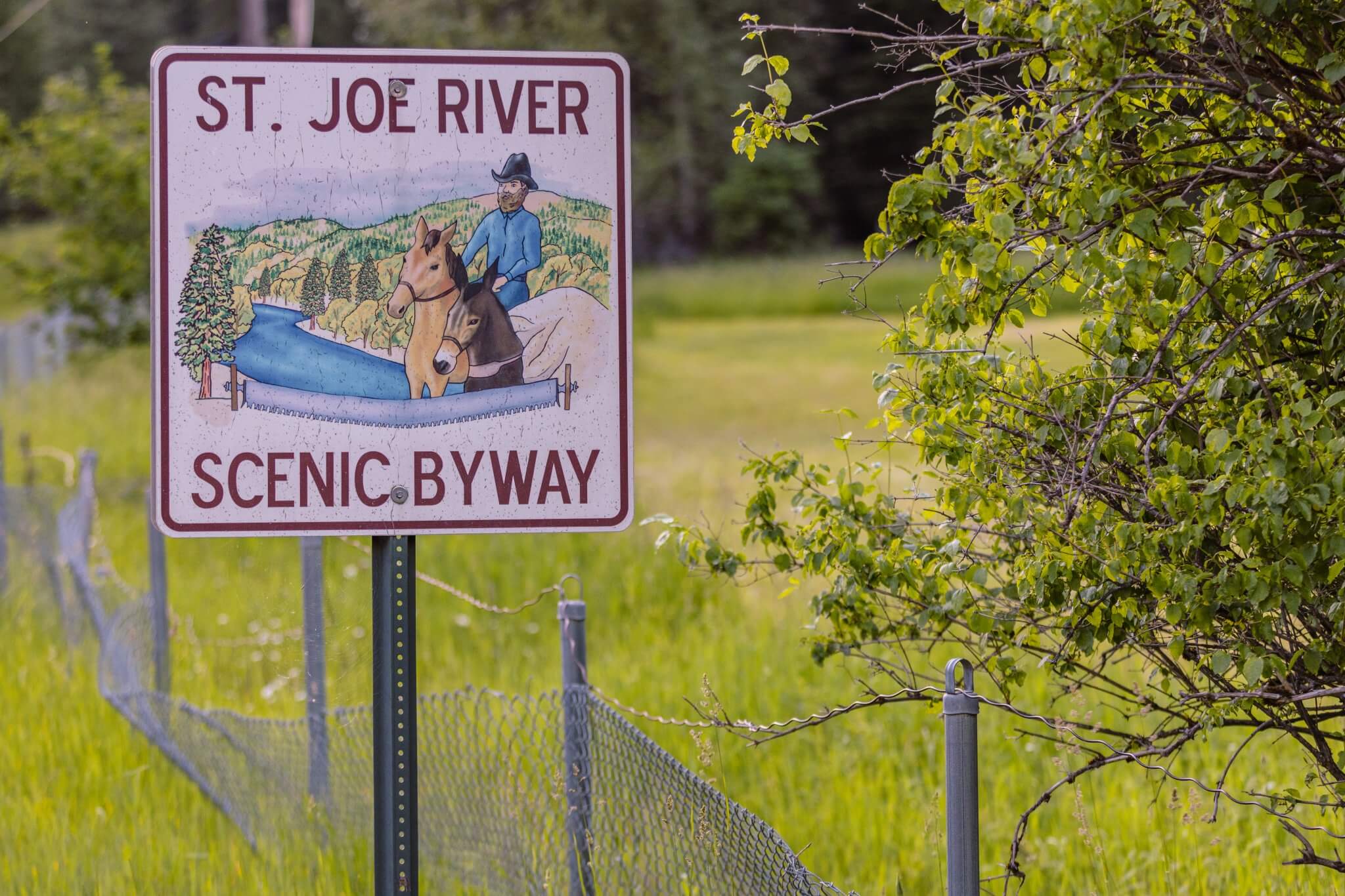 St. Joe River Scenic Byway | Road Trips in Northern Idaho