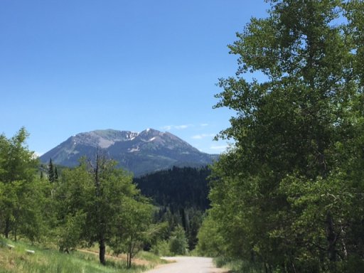 ATV Riding on the Caribou Loop Trail | Visit Idaho