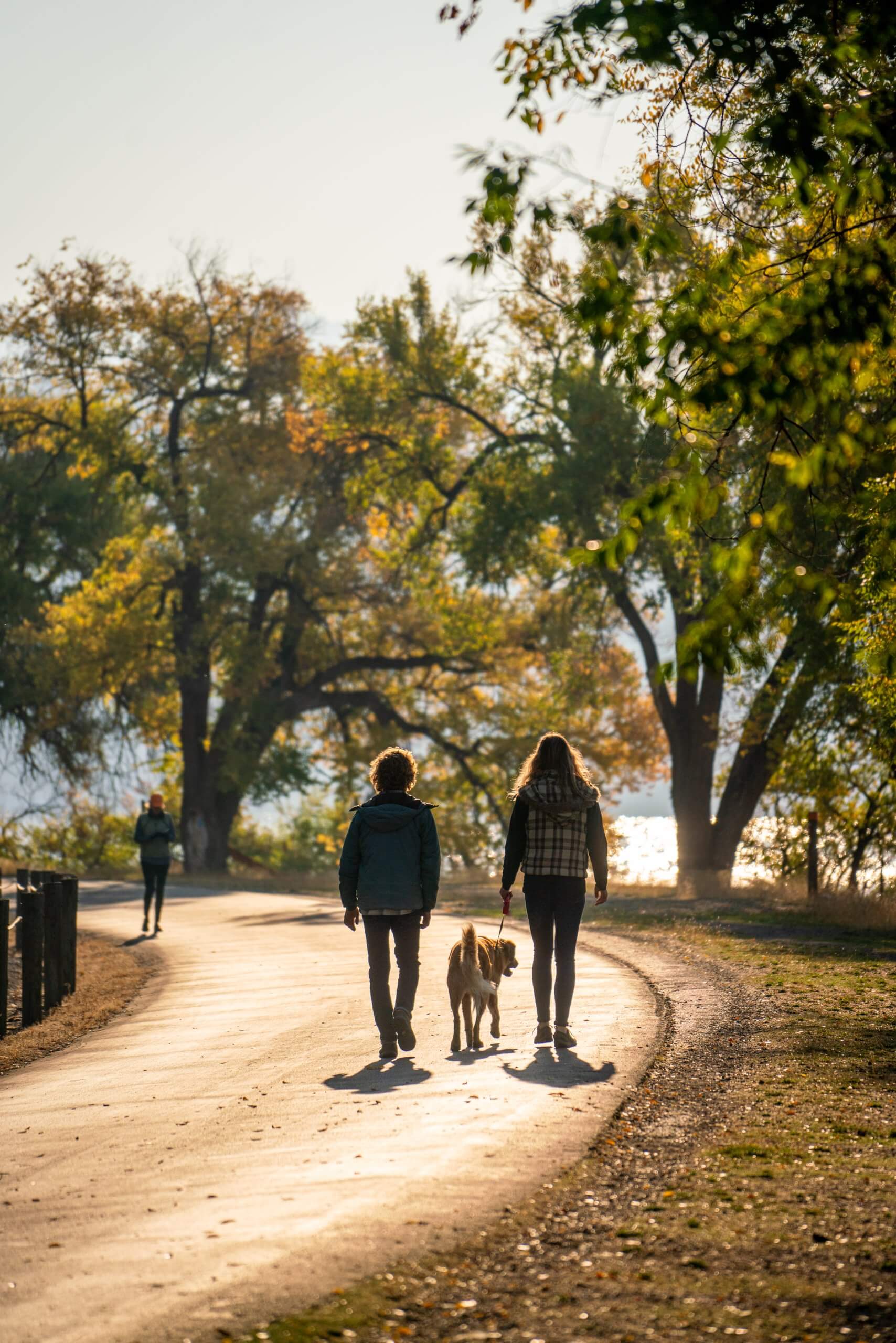 A Guide to Finding Spectacular Fall Colors Around Coeur d'Alene