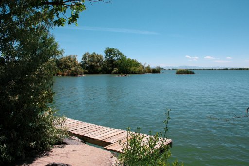 Lake Walcott State Park | State Parks in South Central Idaho